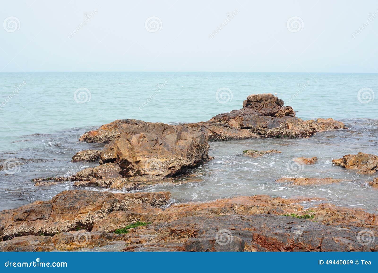 Rocks on seashore stock image. Image of rock, bumpy, seashore - 49440069