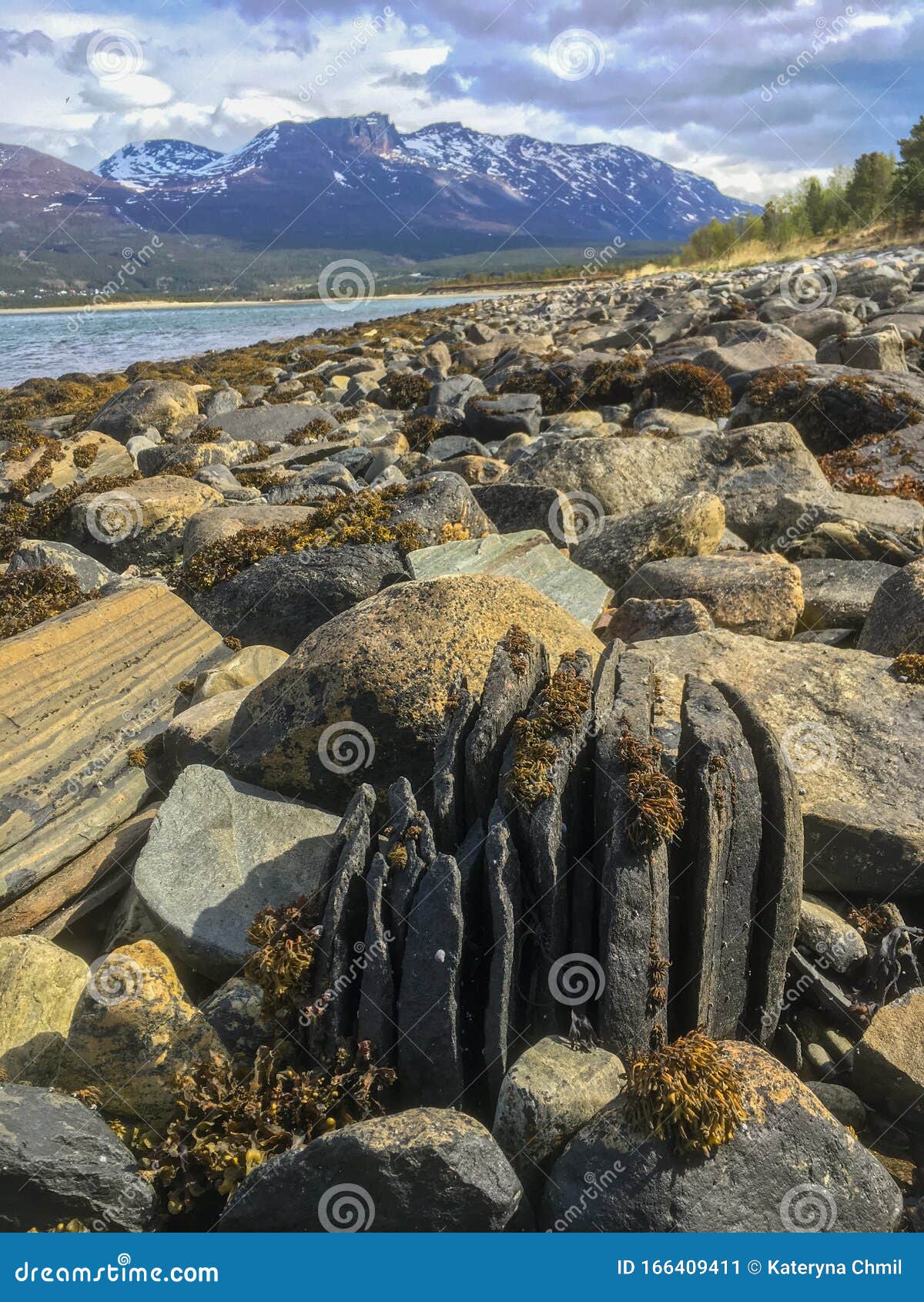The rocks on the seashore stock image. Image of blue - 166409411