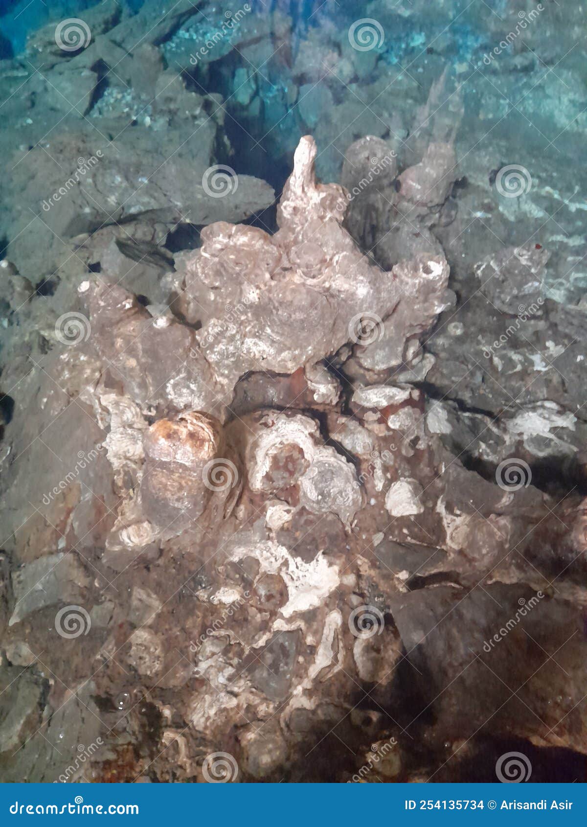 Rocks Seen in the Water in the Cave Stock Photo - Image of water, trunk ...