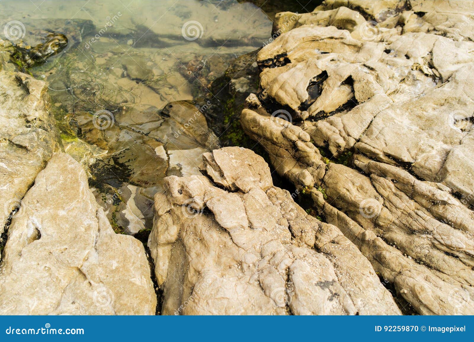 Rocks in a shallow water stock photo. Image of reef, beauty - 92259870