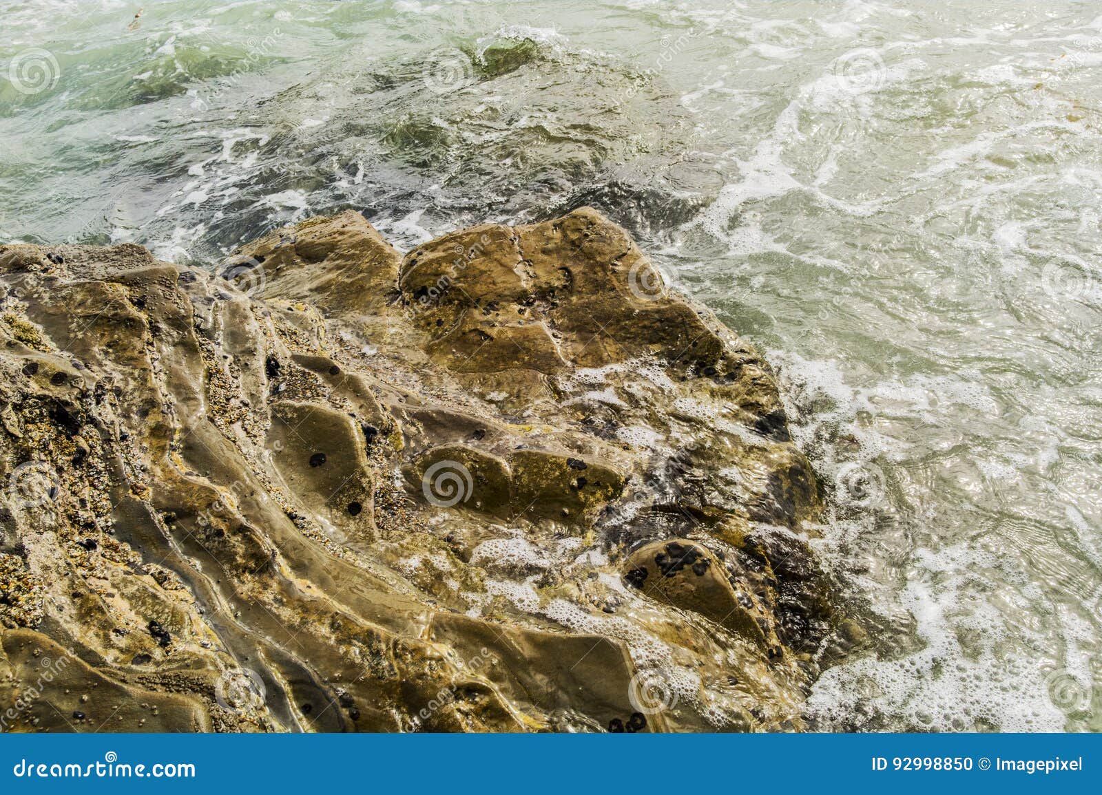 Rocks in shallow water. stock photo. Image of pool, outdoors - 92998850