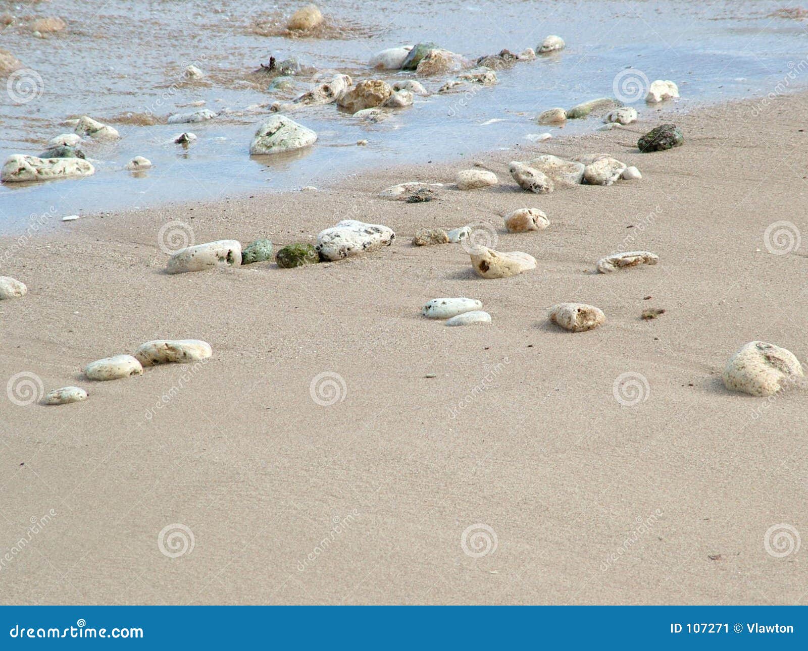 Rocks and shells on beach stock image. Image of boat, water - 107271