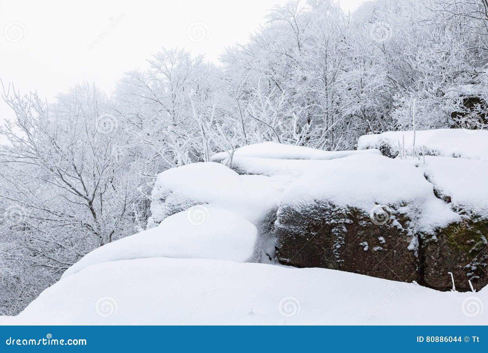 Rocks with snow at winter stock photo. Image of frozen - 80886044