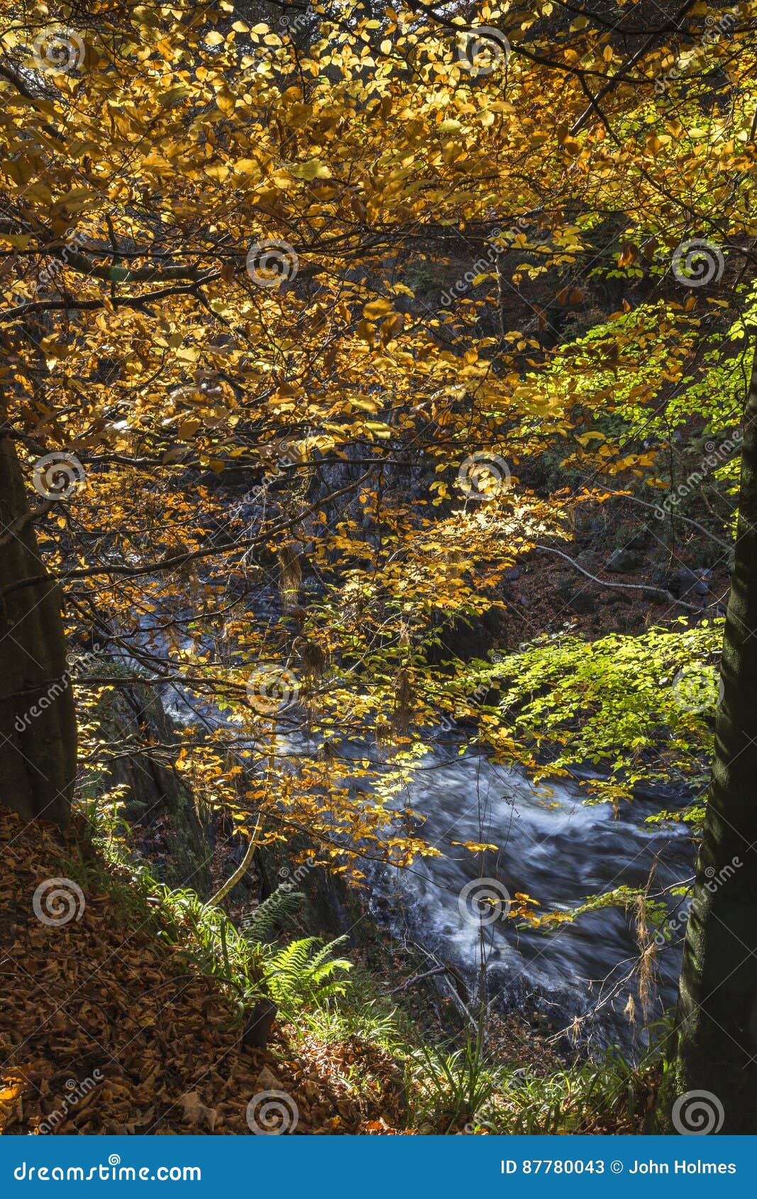Rocks of Solitude Gorge on the North Esk River in Scotland. Stock Image ...