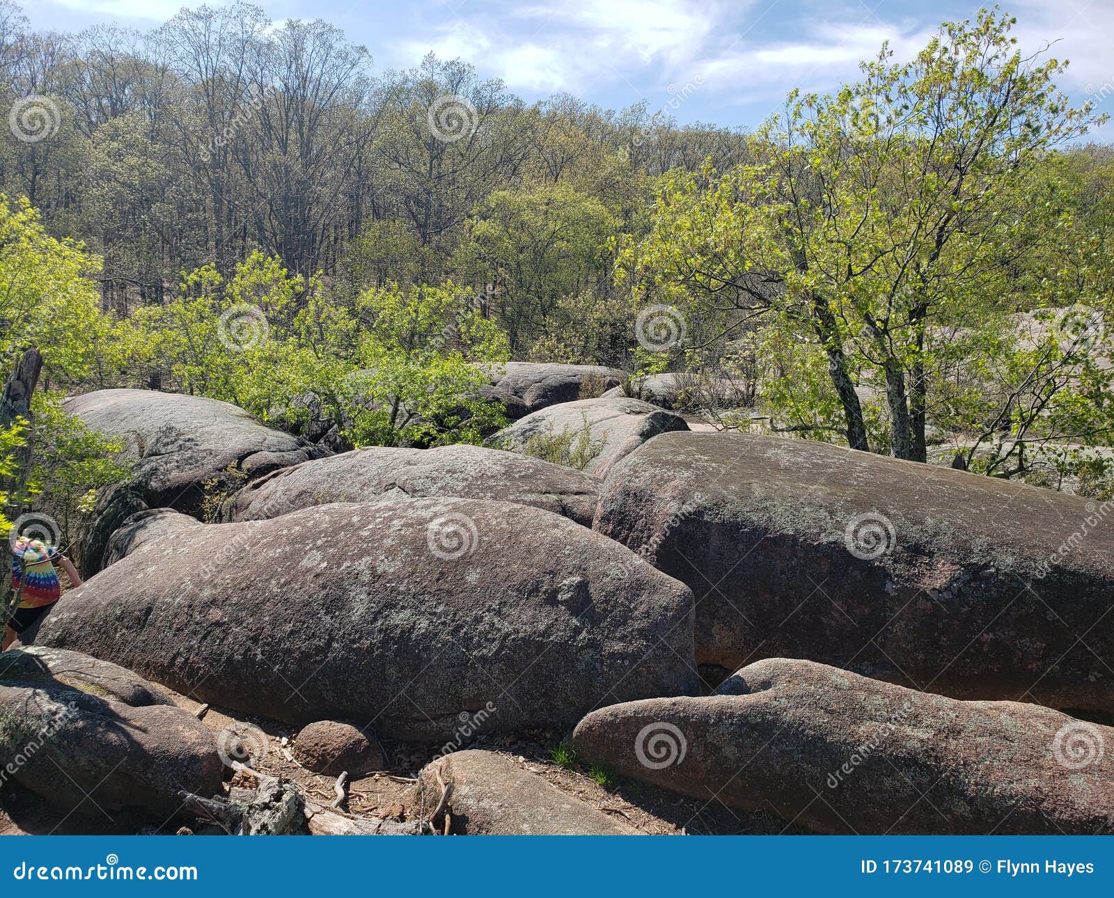 Rocks in Spring stock image. Image of landscape, rocks - 173741089
