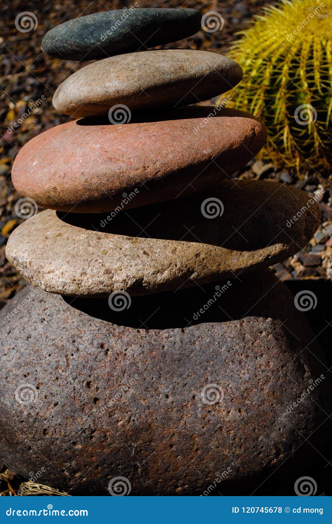 Stacked stock photo. Image of stacked, cactus, rocks - 120745678