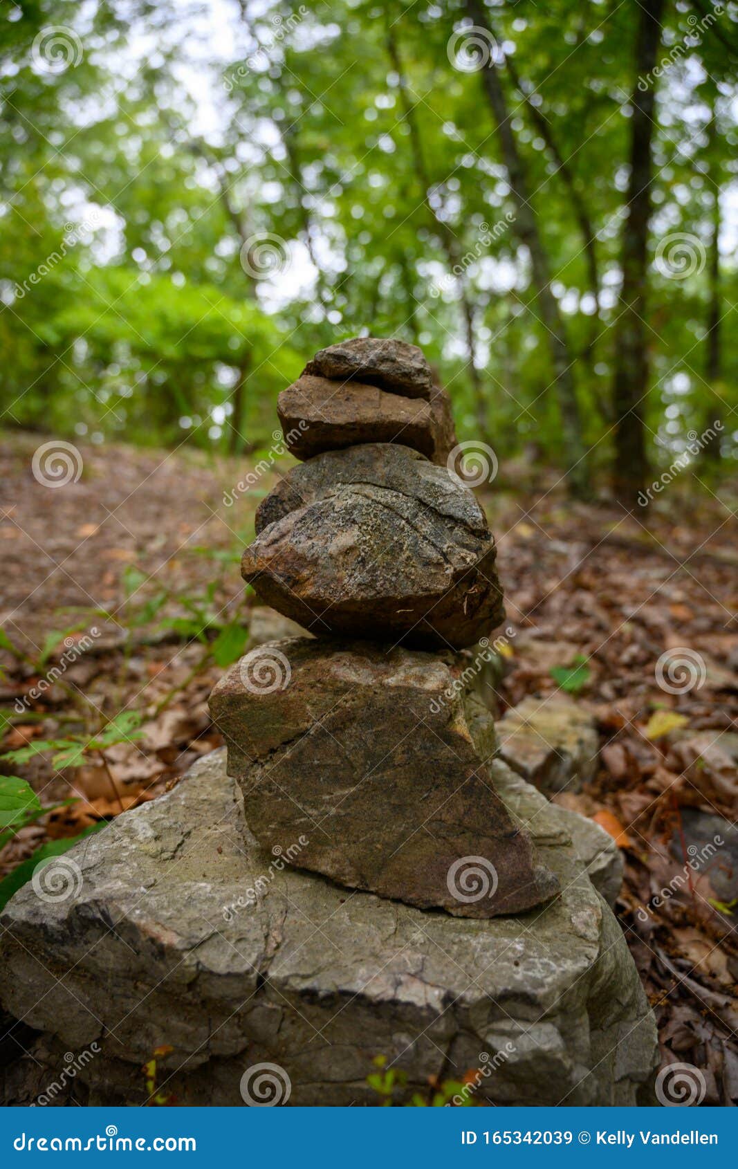Rocks Stacked in Forest stock image. Image of tower - 165342039