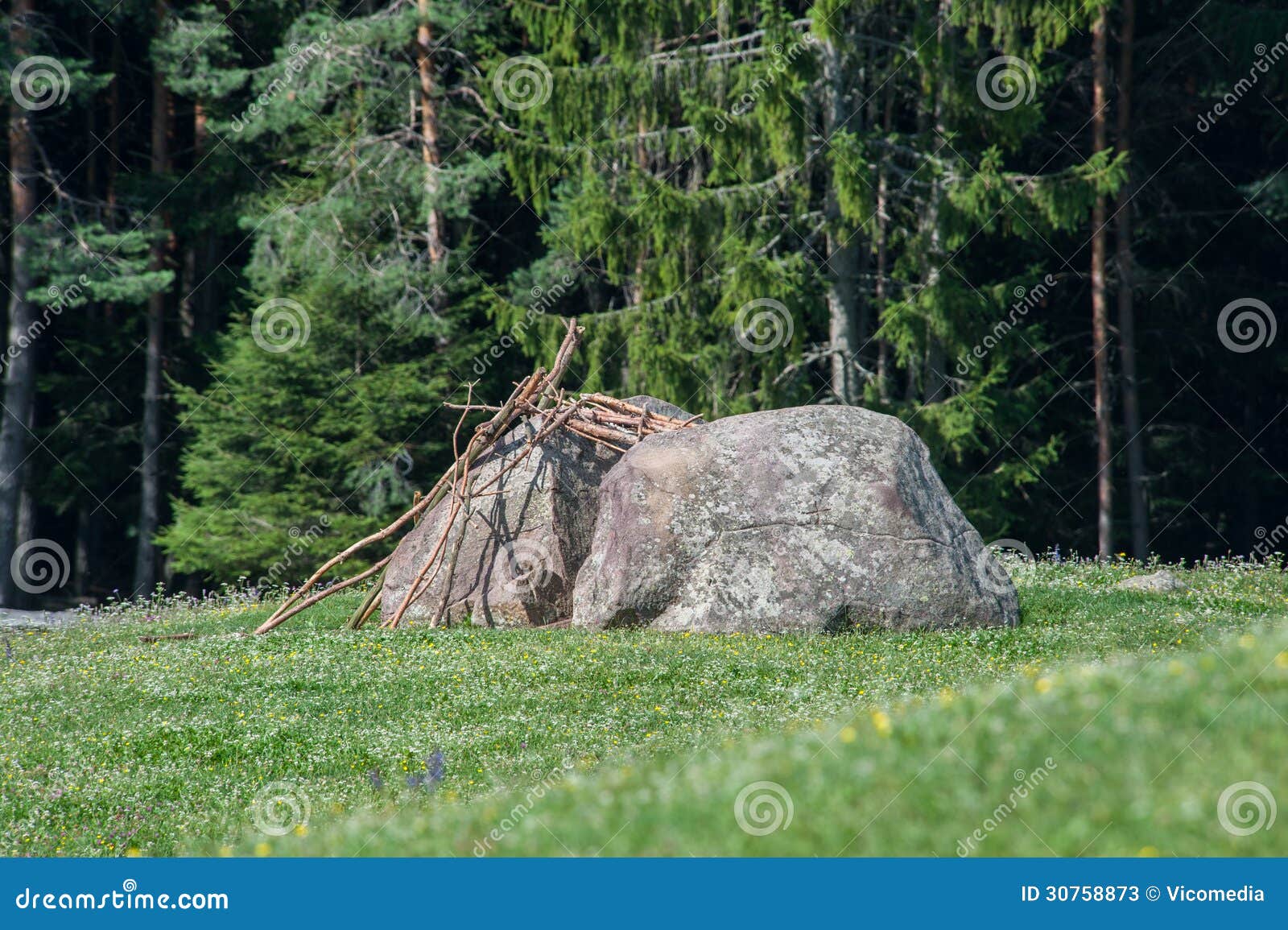 Rocks with sticks stock image. Image of trail, branches - 30758873