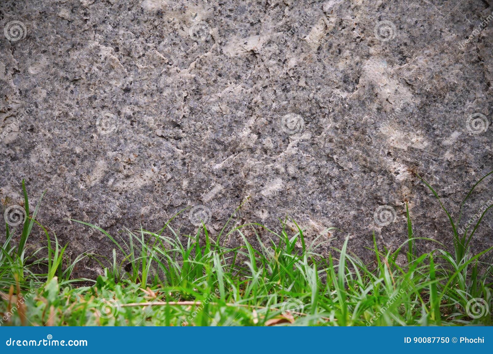 17,011 White Stone Grass Texture Stock Photos - Free & Royalty-Free ...