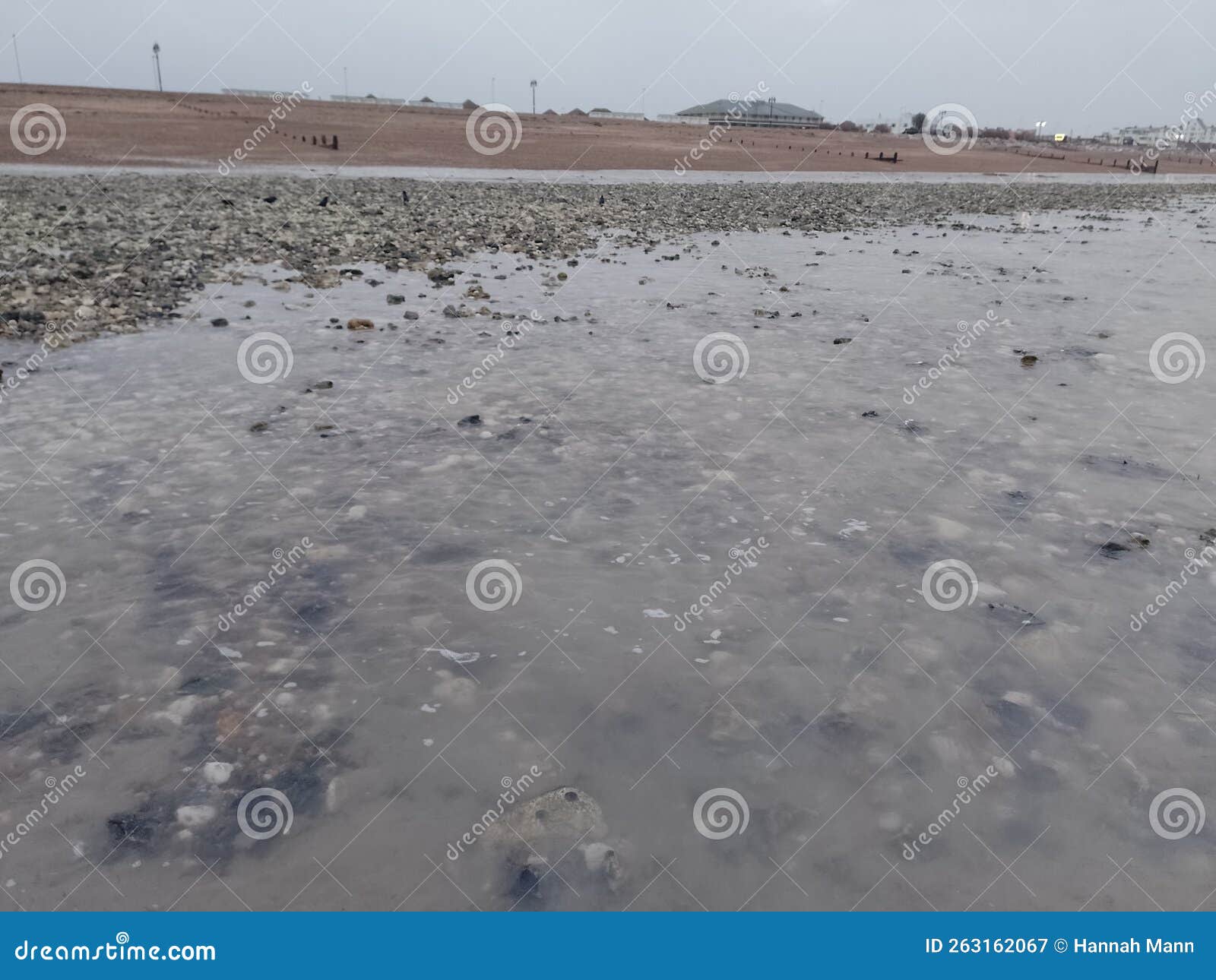 Rocks on the Stoney Beach Rock Pools Stock Image - Image of beach ...