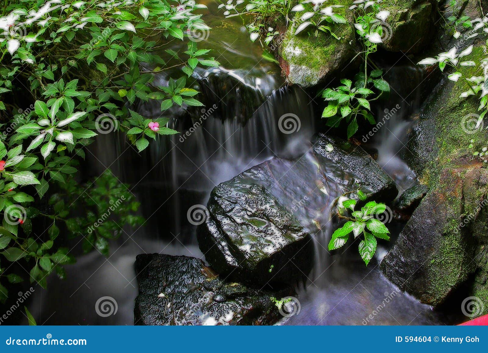 Rocks in a Stream stock photo. Image of rock, cold, stone - 594604