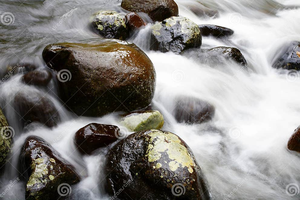 Rocks in stream stock photo. Image of rocks, clear, creek - 7141102
