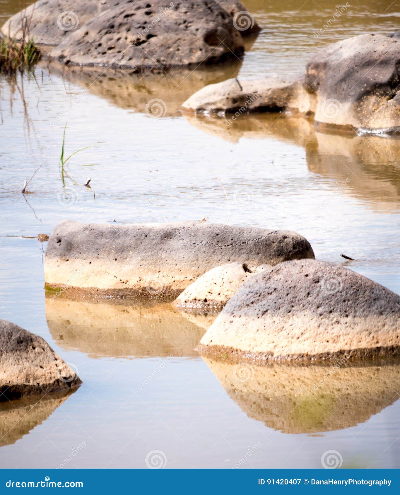 Rocks in a Stream with Reflections and Copy Space Stock Image - Image ...