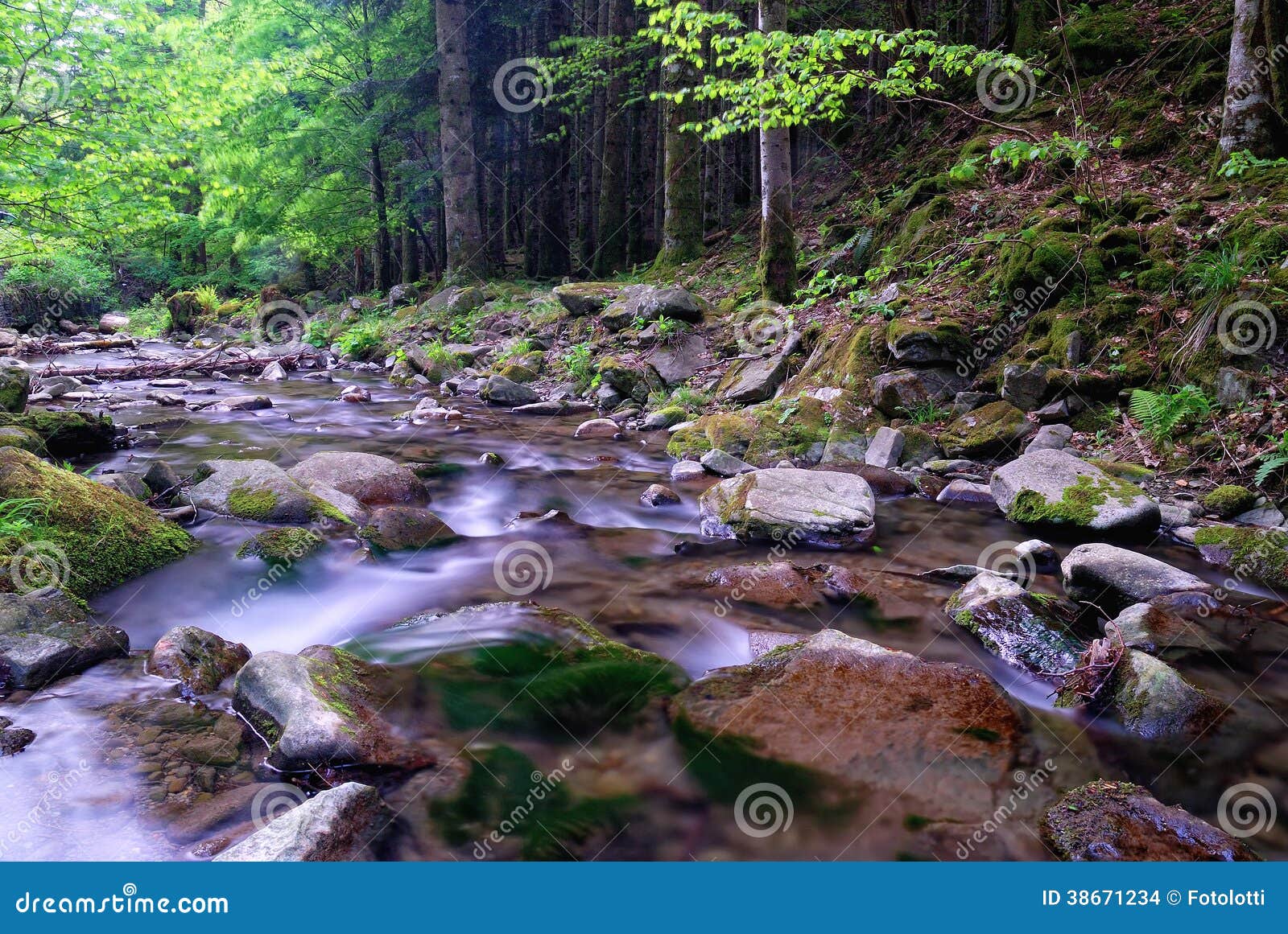 Rocks in the stream stock photo. Image of river, stone - 38671234