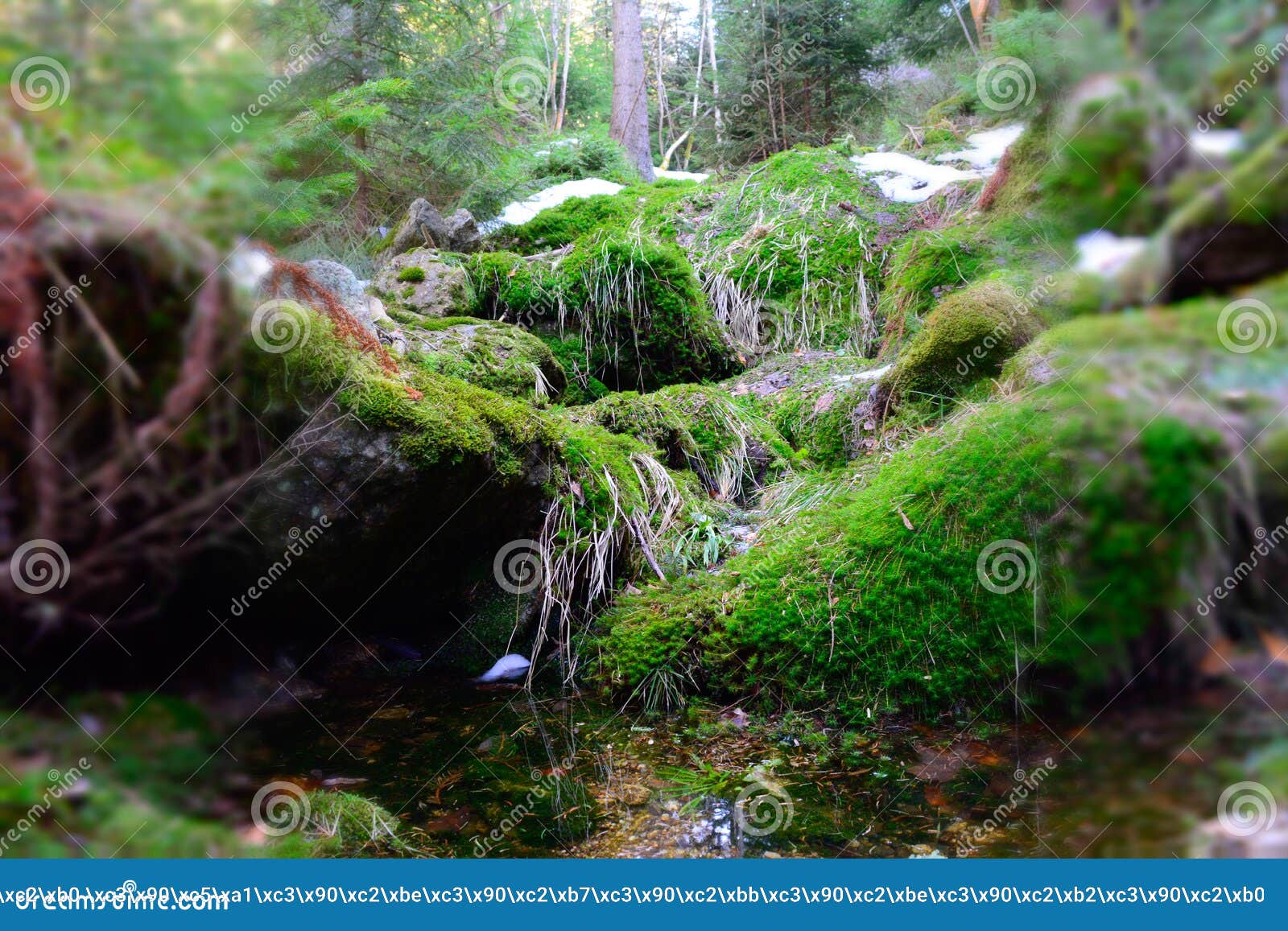 Rocks in Stream with Smooth Flowing Water Stock Image - Image of creek ...