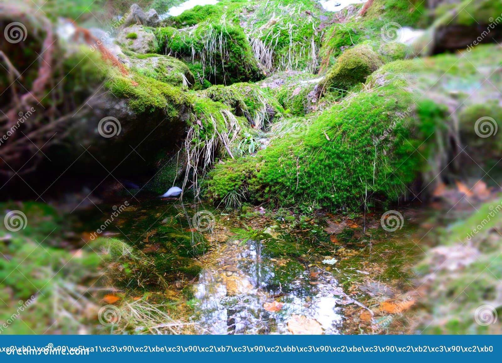 Rocks in Stream with Smooth Flowing Water Stock Photo - Image of serene ...