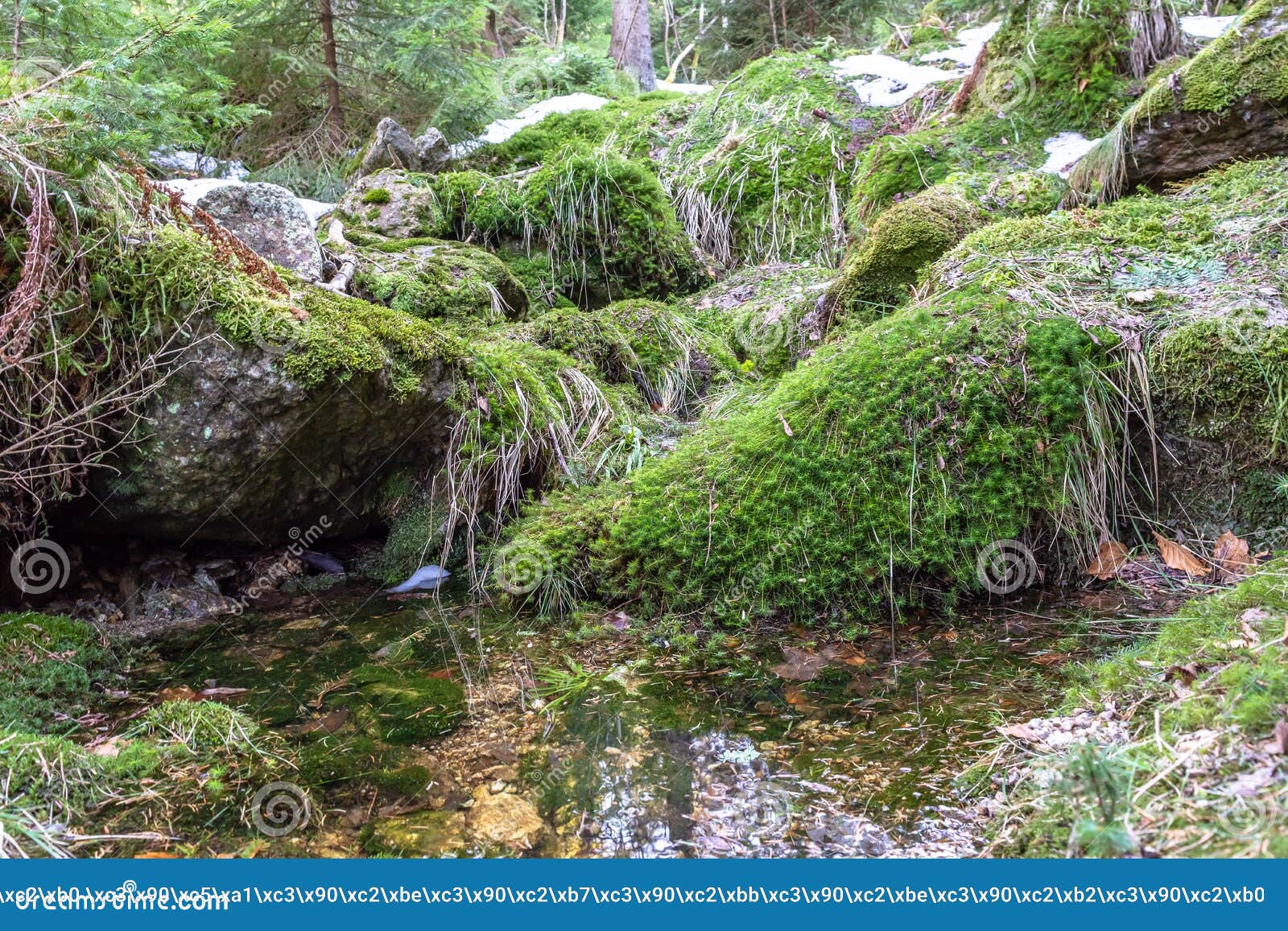 Rocks in Stream with Smooth Flowing Water Stock Photo - Image of creek ...