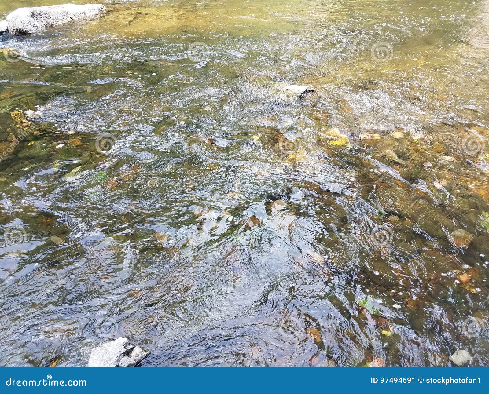 Rocks in a stream stock image. Image of boulders, river - 97494691