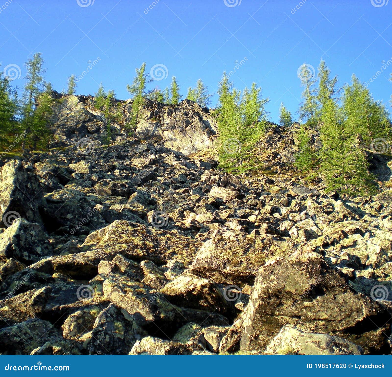 Rocks in the Taiga in Russian North. Exit To the Surface of Granites ...