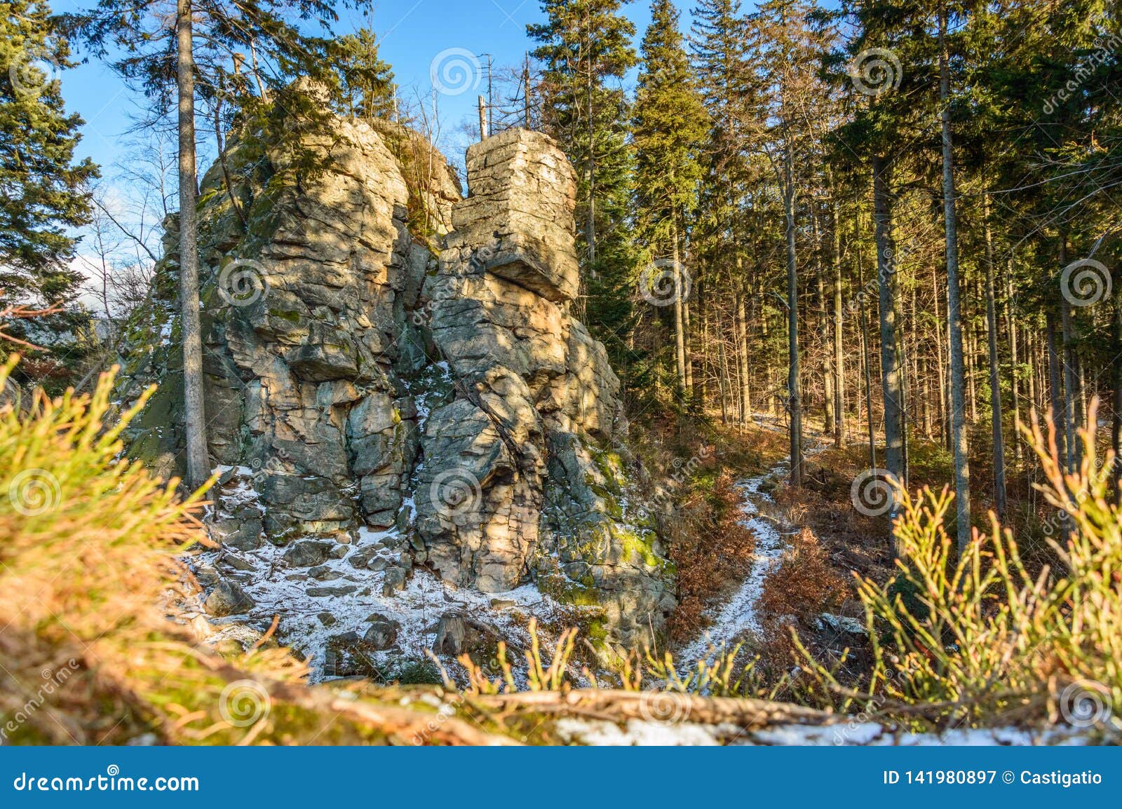 Rocks on the Tourist Trail in the Forest Stock Image - Image of trees ...