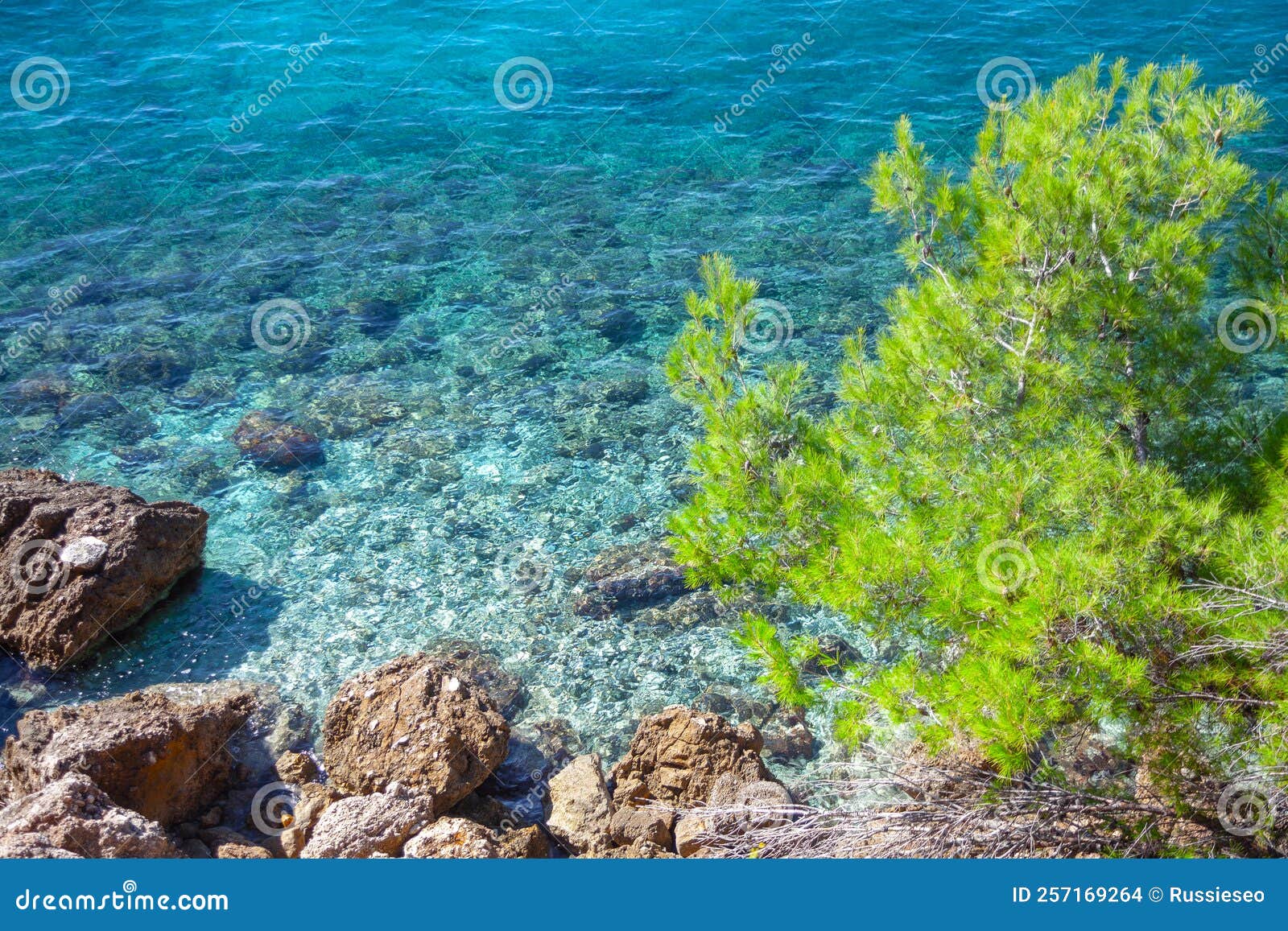 Rocks in transparent water stock photo. Image of coastline - 257169264