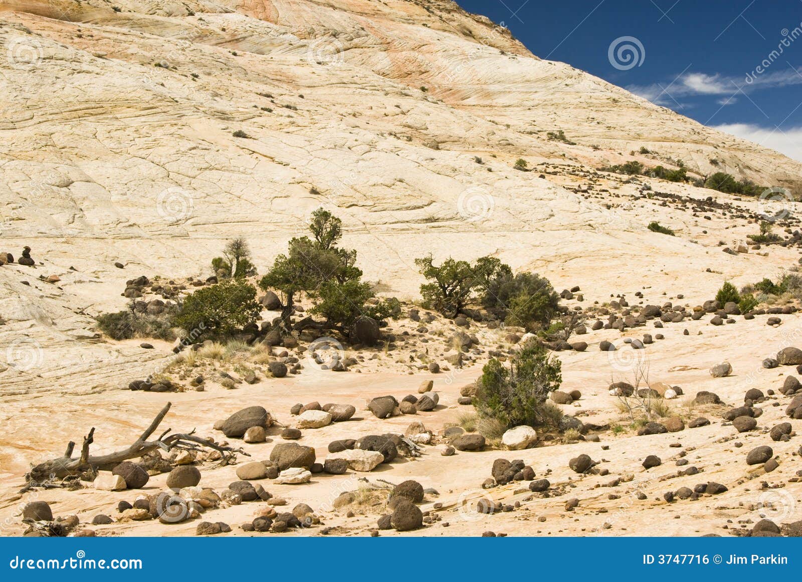 Rocks & Trees 1 stock photo. Image of formations, staircase - 3747716