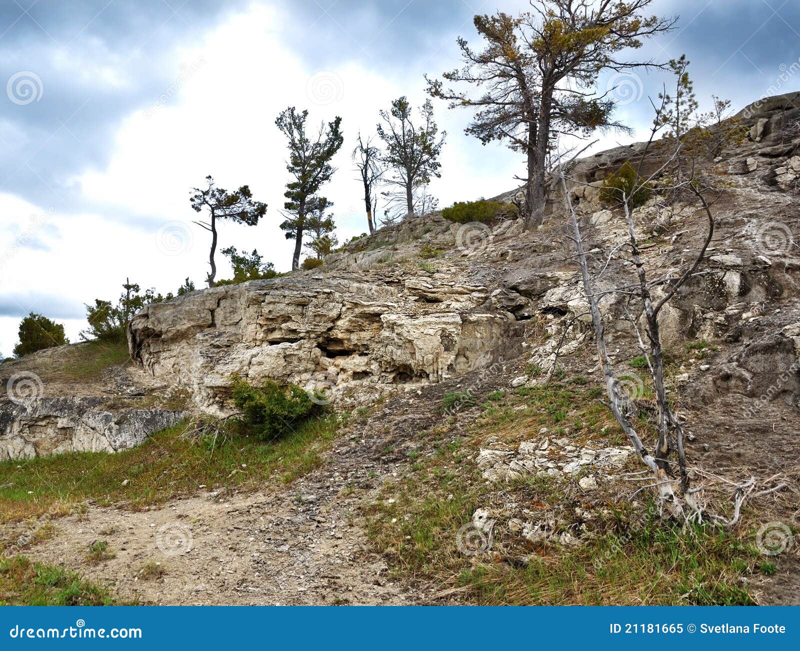 Rocks and trees stock image. Image of mountains, gray - 21181665
