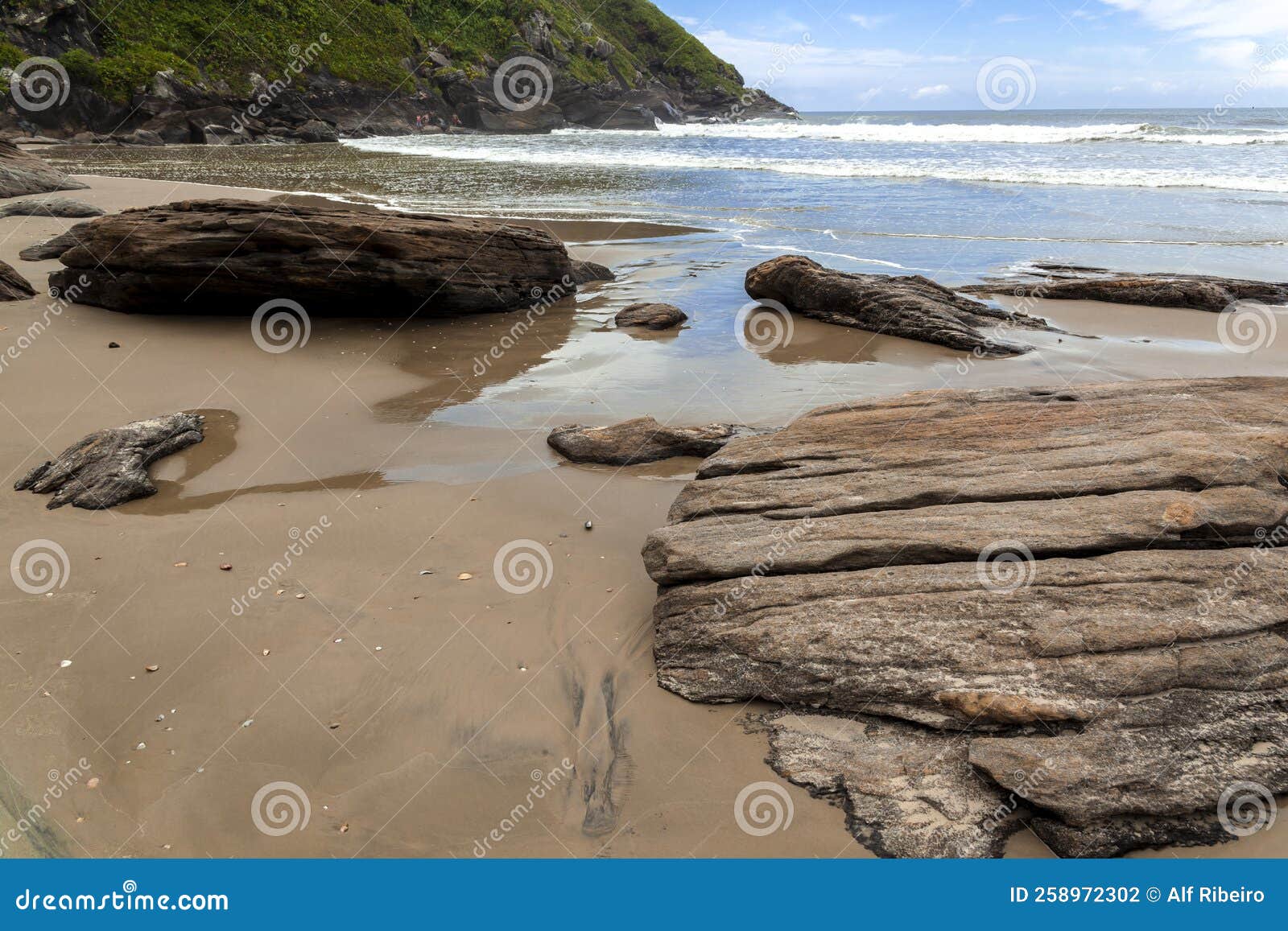 Rocks and Trees by the Beach in a Beautiful Sunny Day. Atlantic Forest ...