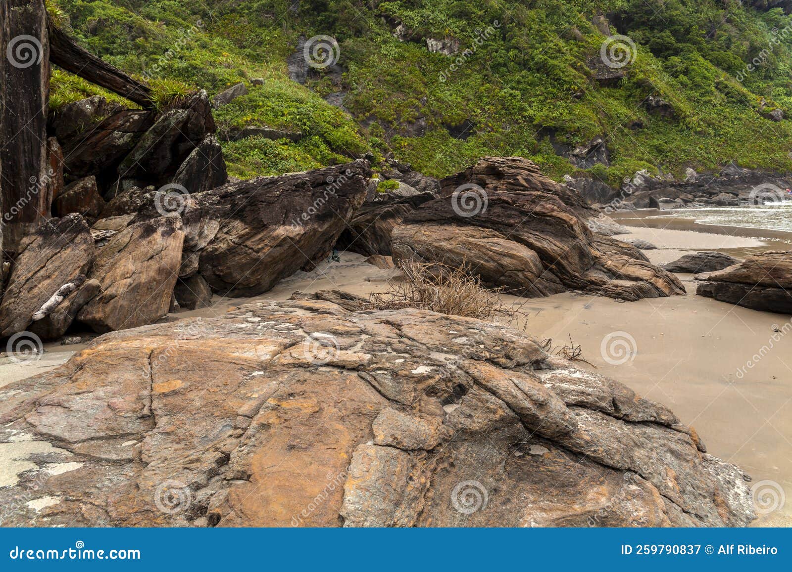Rocks and Trees by the Beach in a Beautiful Sunny Day. Stock Image ...