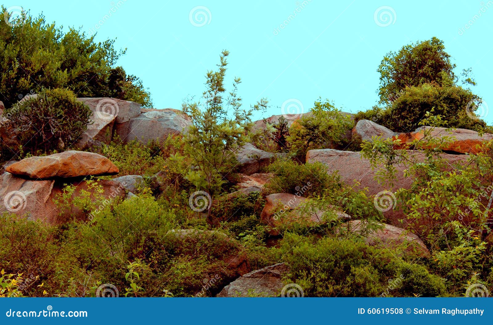 Rocks and trees stock photo. Image of geologic, view - 60619508