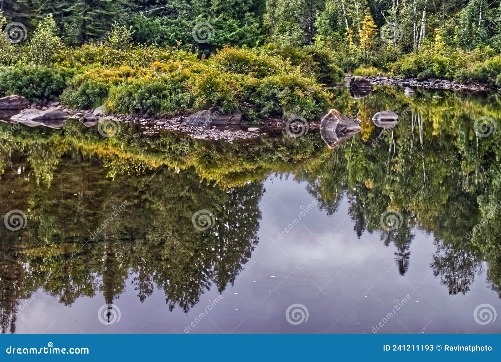 Rocks, Trees and Bushes in Complete Reflection - Current River ...