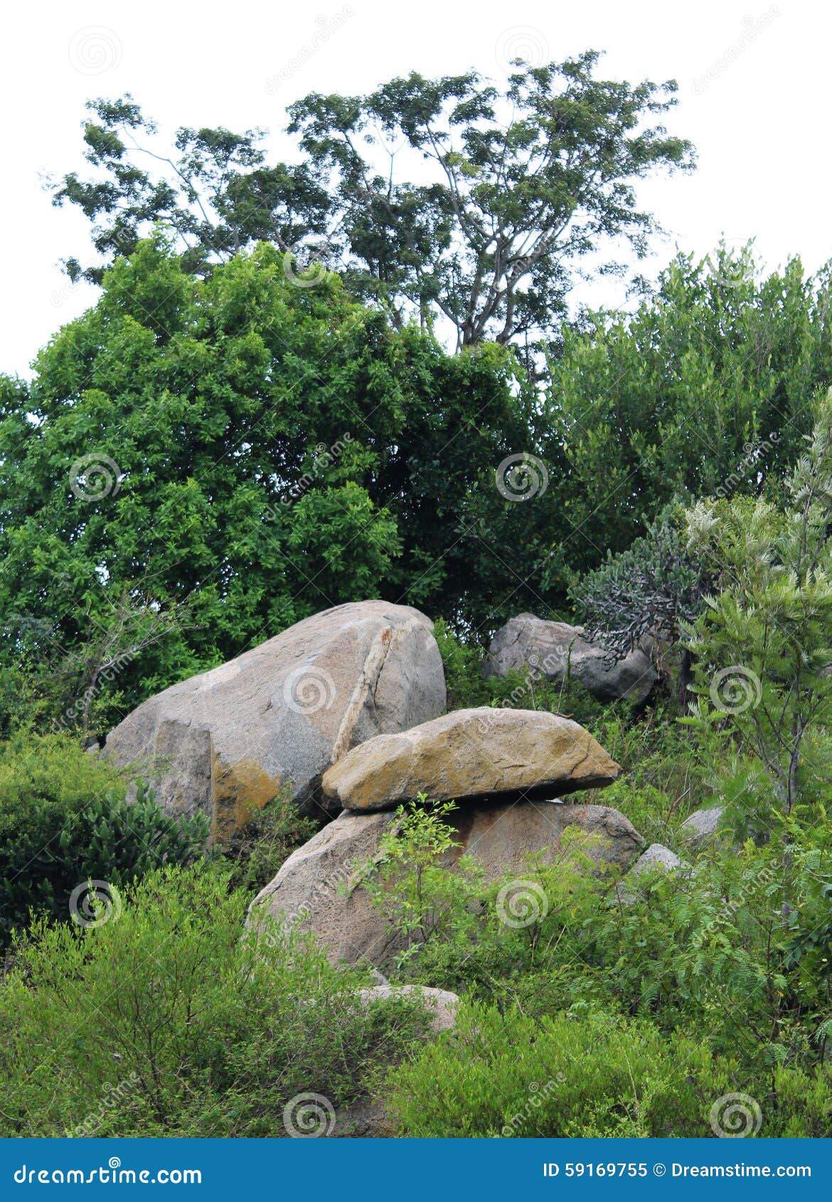 Rocks and trees stock image. Image of hill, granite, beautiful - 59169755