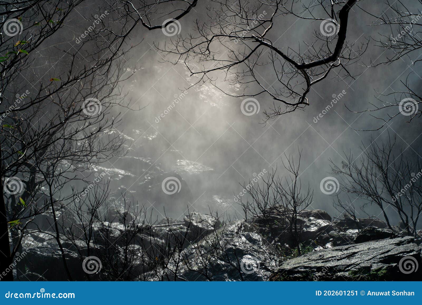 Rocks, Trees and Water Vapor Under a Natural Forest Waterfall Stock ...