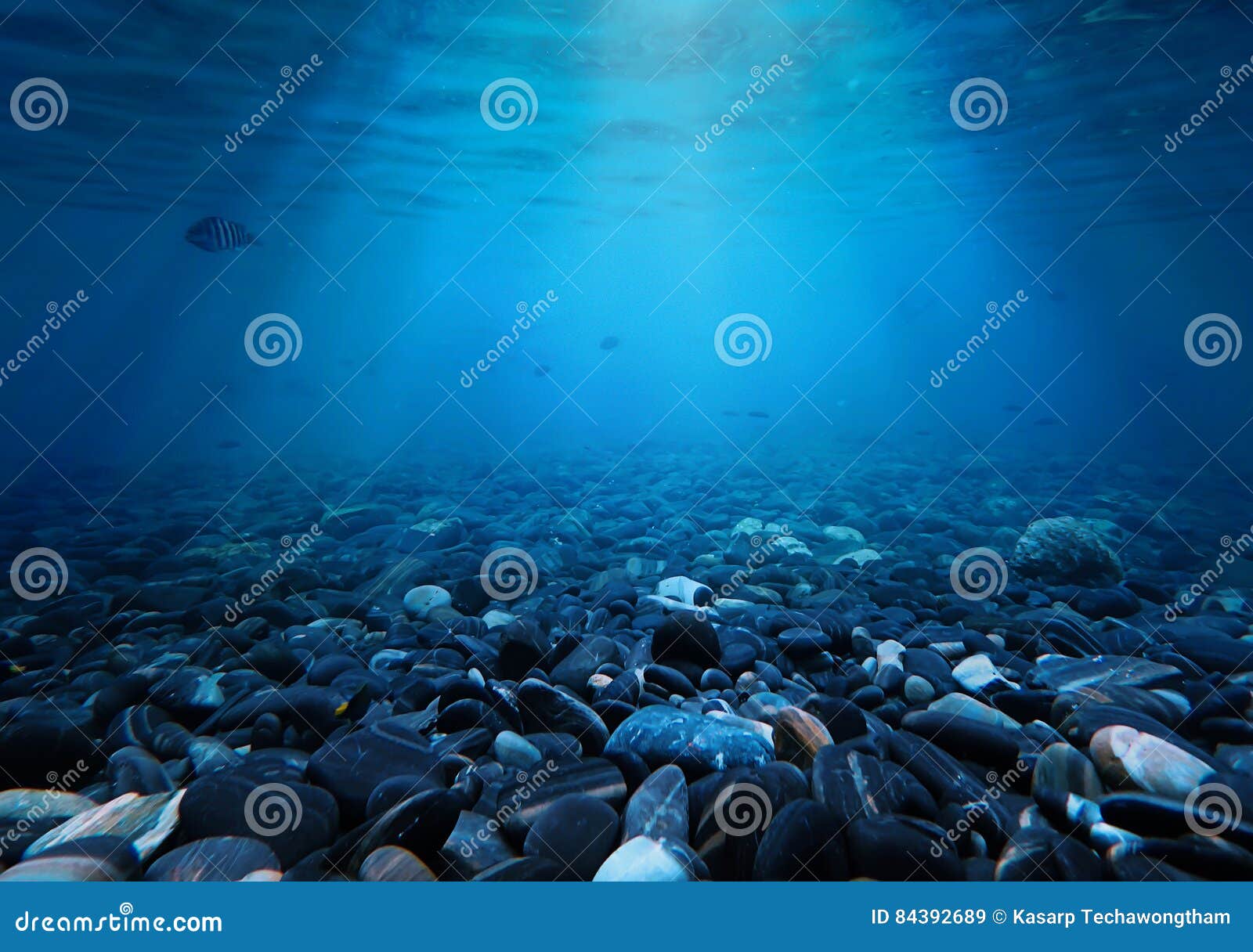 Rocks Under the Sea Waves Water in Thai. Background with Lots O Stock ...