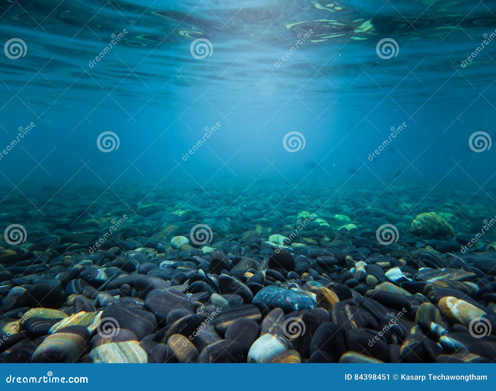 Rocks Under Ice Layers, Phantasmagoric Ice Shapes, Frozen Leaves, Stock ...