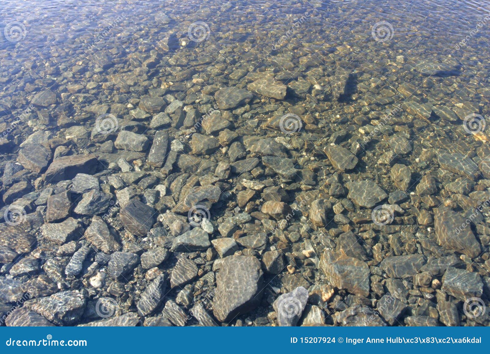 Rocks under water stock photo. Image of shallow, nature - 15207924