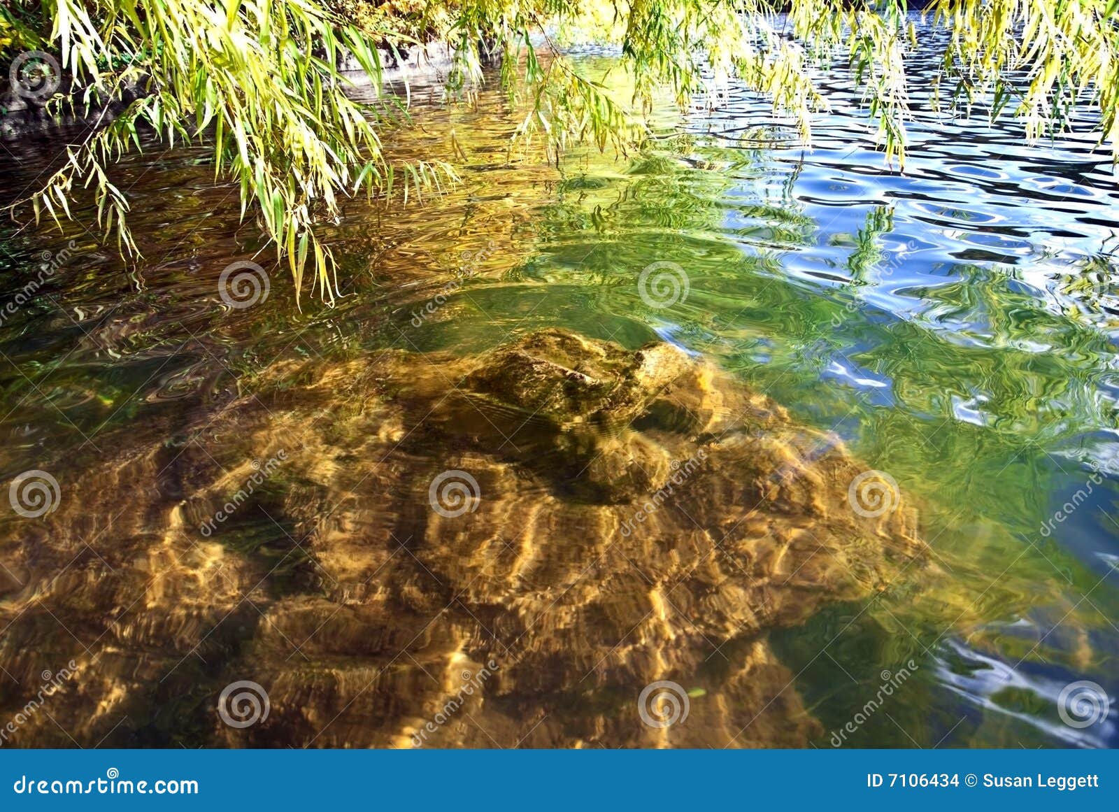Rocks Under Water stock photo. Image of river, colour - 7106434