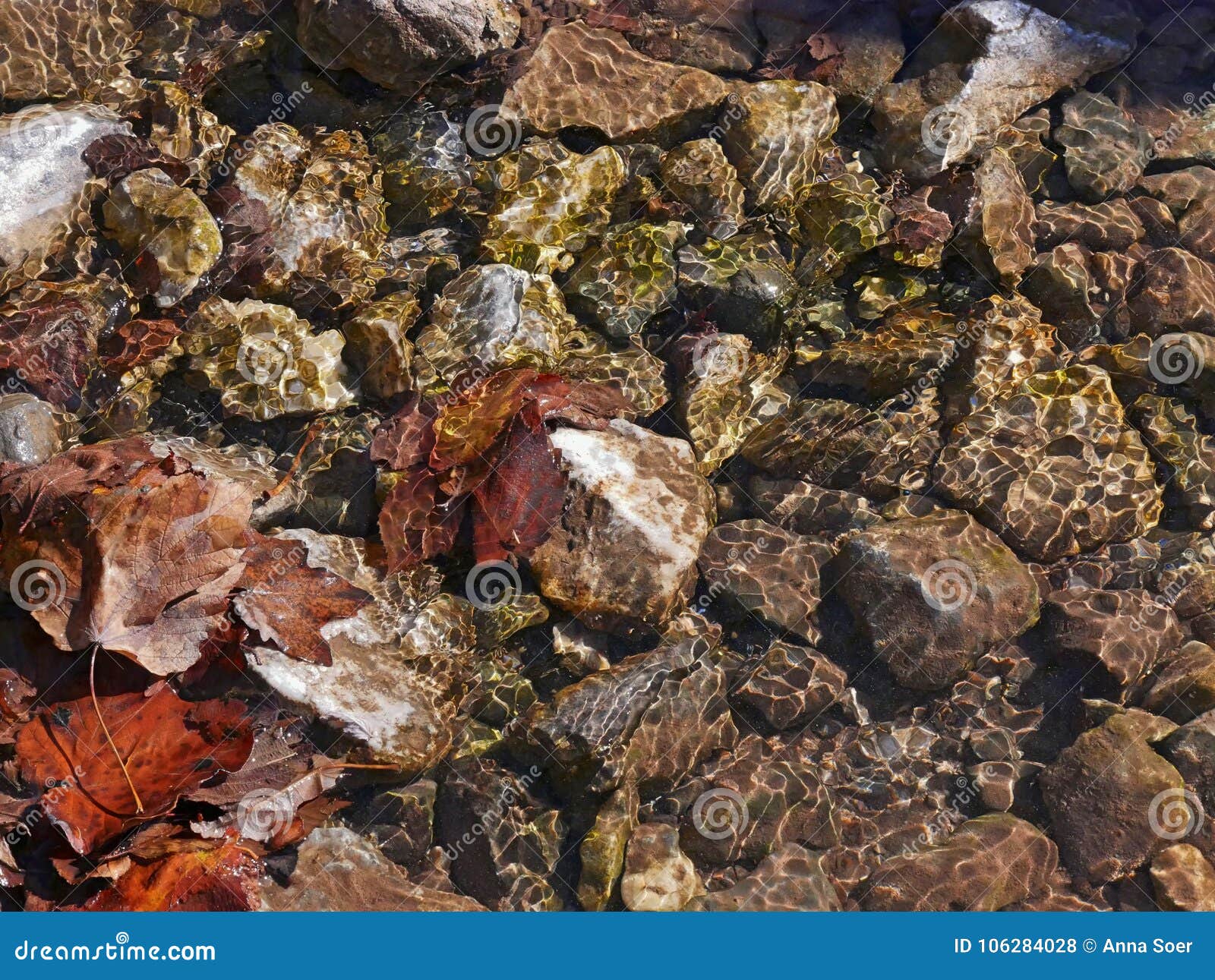 Rocks under water stock photo. Image of water, stream - 106284028