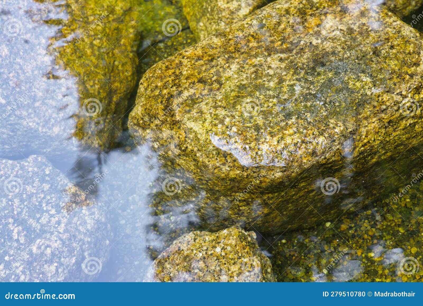 Rocks Under the Water Surface of a Pond Stock Photo - Image of stone ...
