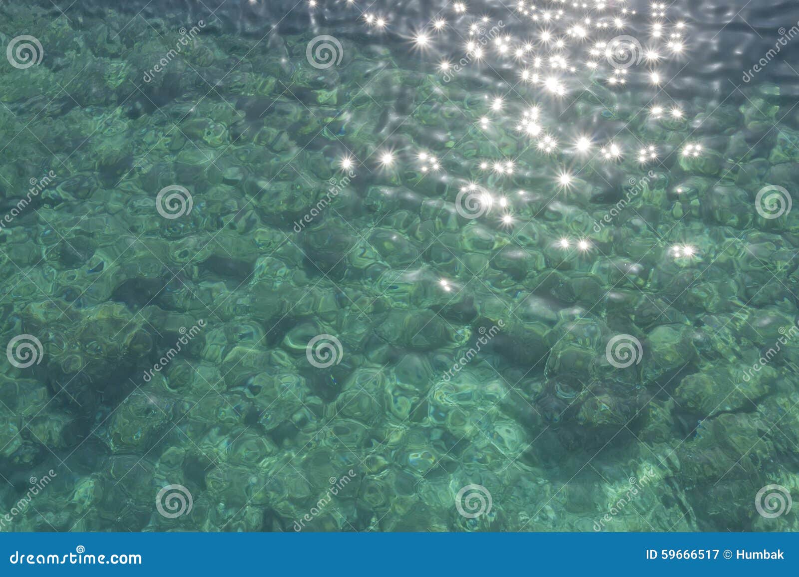 Rocks under water stock image. Image of ocean, seabed - 59666517