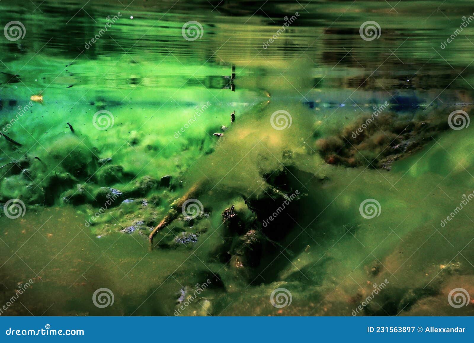 Rocks Underwater on Riverbed Covered with Green Algae Stock Image ...