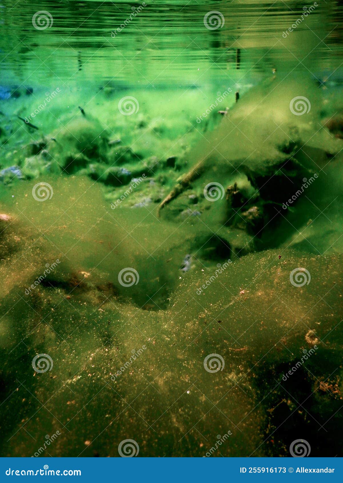 Rocks Underwater on Riverbed Covered with Green Algae Stock Image ...