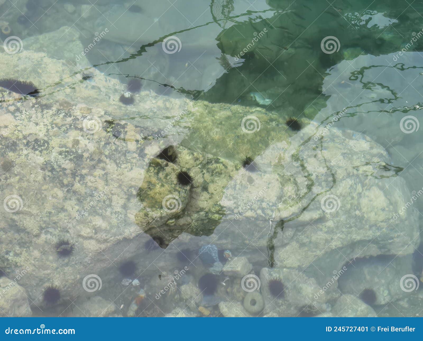 Rocks the Underwater are in Shallow Water Stock Image - Image of ...