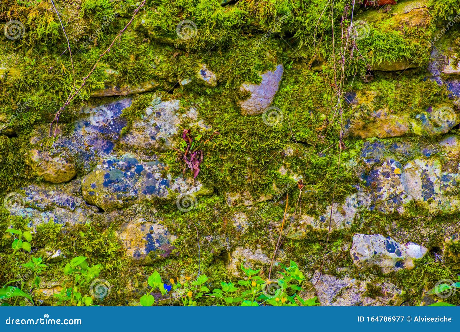 Rocks wall with moss stock image. Image of abstract - 164786977
