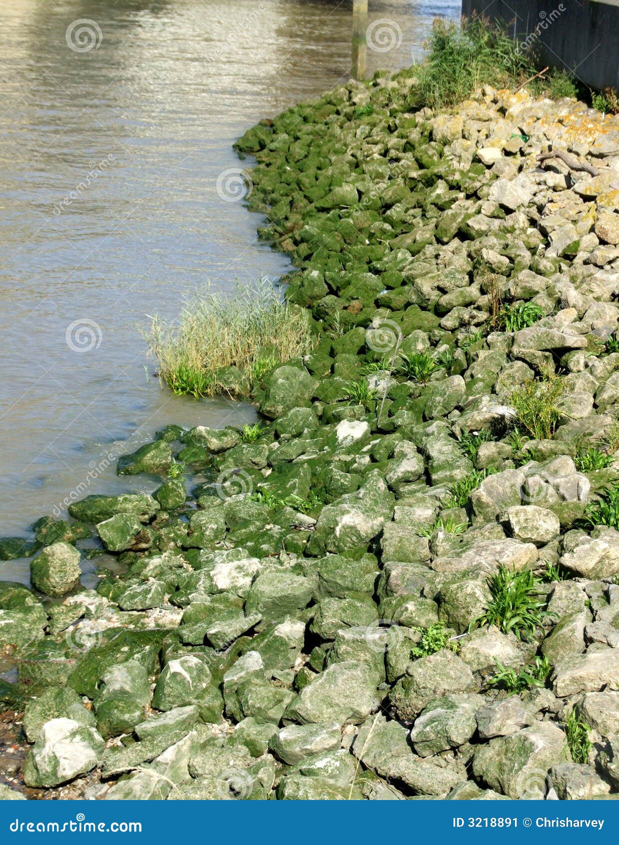 Rocks by Water 1 stock image. Image of thames, coastal - 3218891