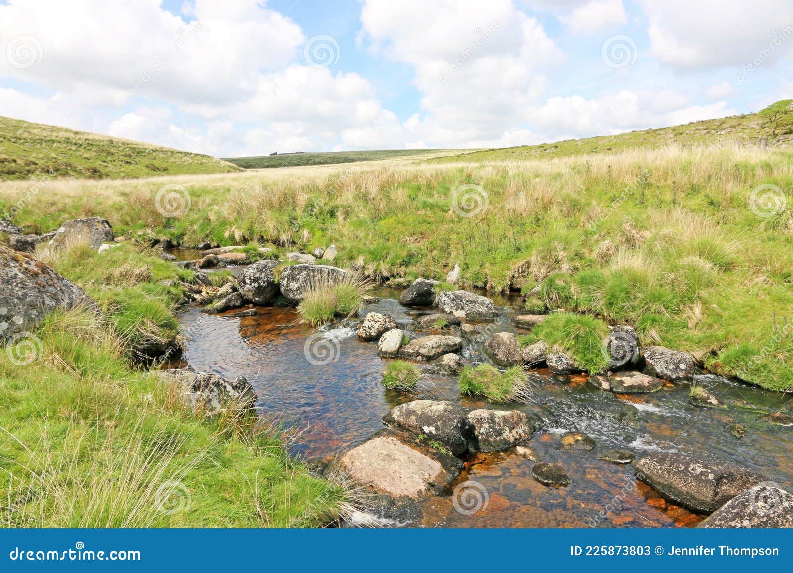 West Dart River in Dartmoor, Devon Stock Image - Image of nature ...