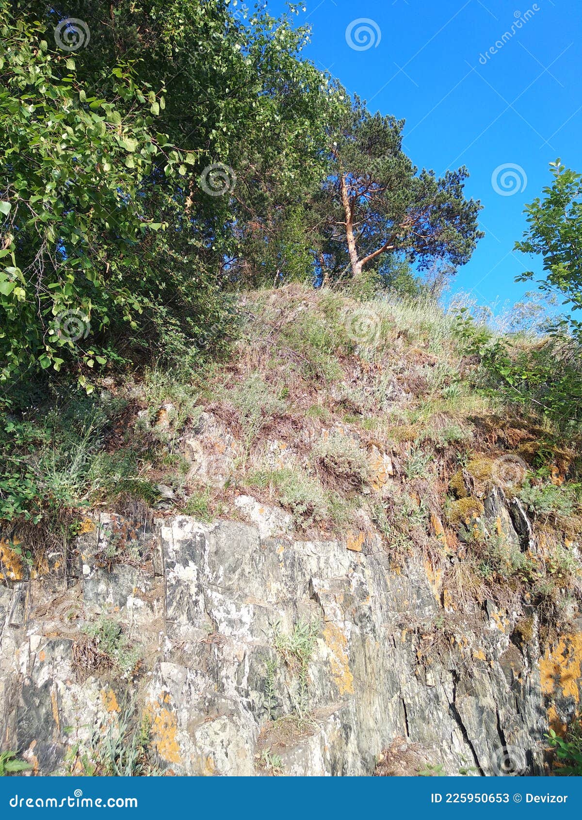 The Rocks on Which it Will Be Difficult To Climb are Overgrown with ...