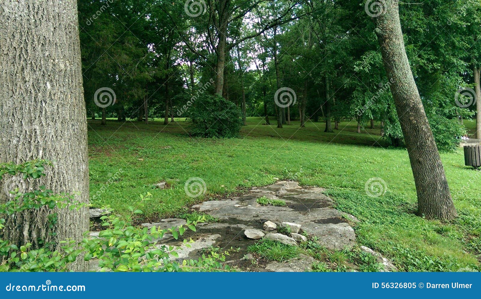 Rocks in the woods stock image. Image of rocks, forrest - 56326805