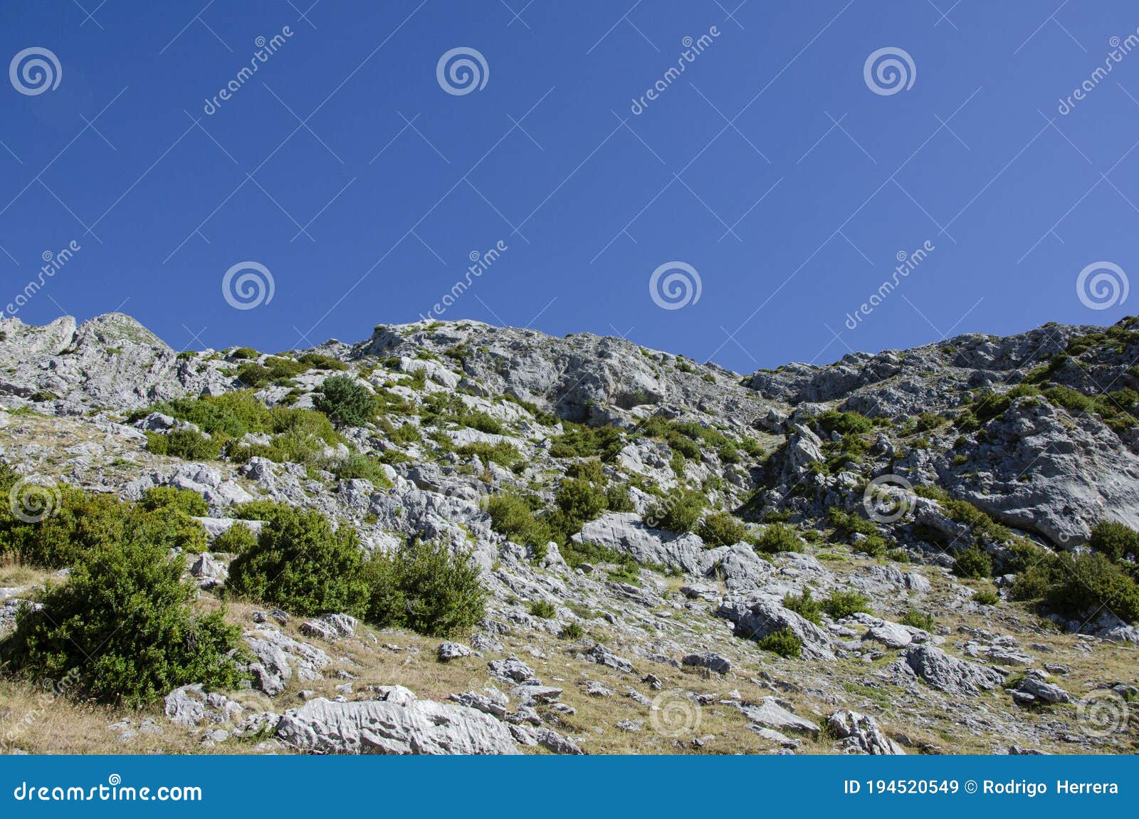 Rocky and Arid Terrain, with Many Bushes Stock Image - Image of rough ...