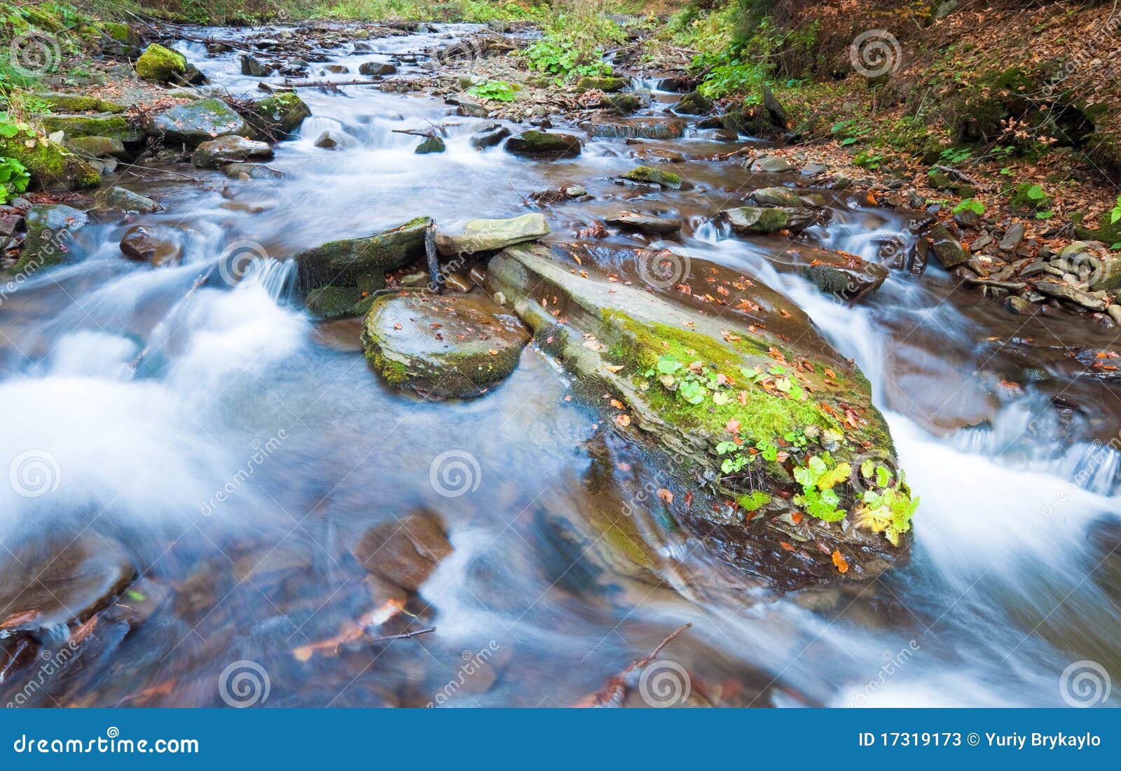 Rocky Autumn Stream stock image. Image of creek, forest - 17319173